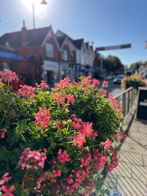 Cobham Area Guide — The Essential Guide to Living in Surrey