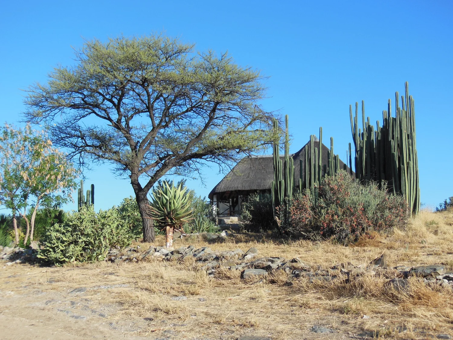 Unsere Farm | Natur erleben – Jetzt buchen — Jagdfarm Namibia