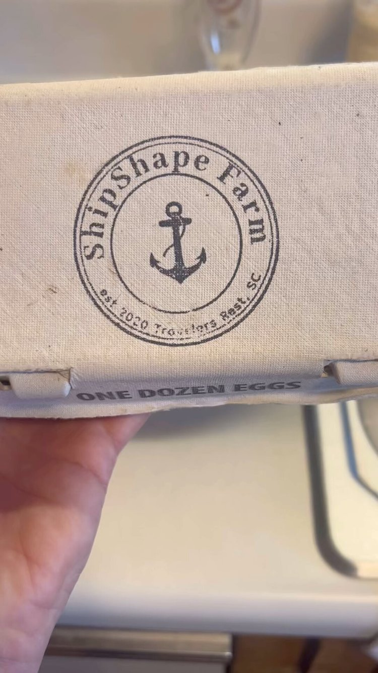 Summer Camp at the Farm — Shipshape Farm