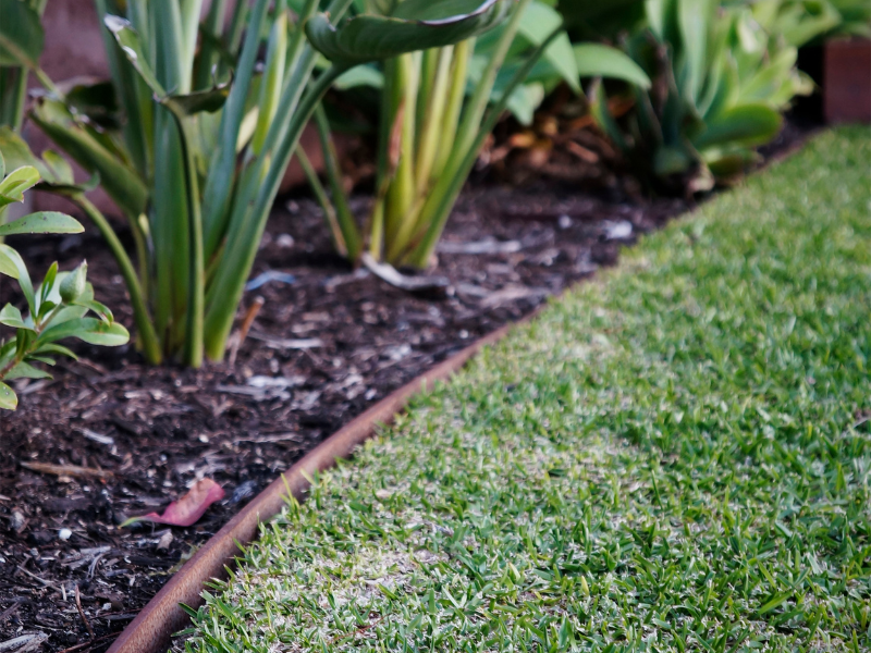 How to Improve Your Landscape Edging — Clover Landscape & Design