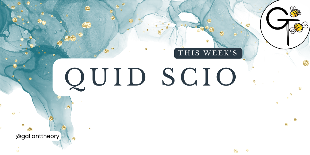 This week’s Quid Scio — Gallant Theory