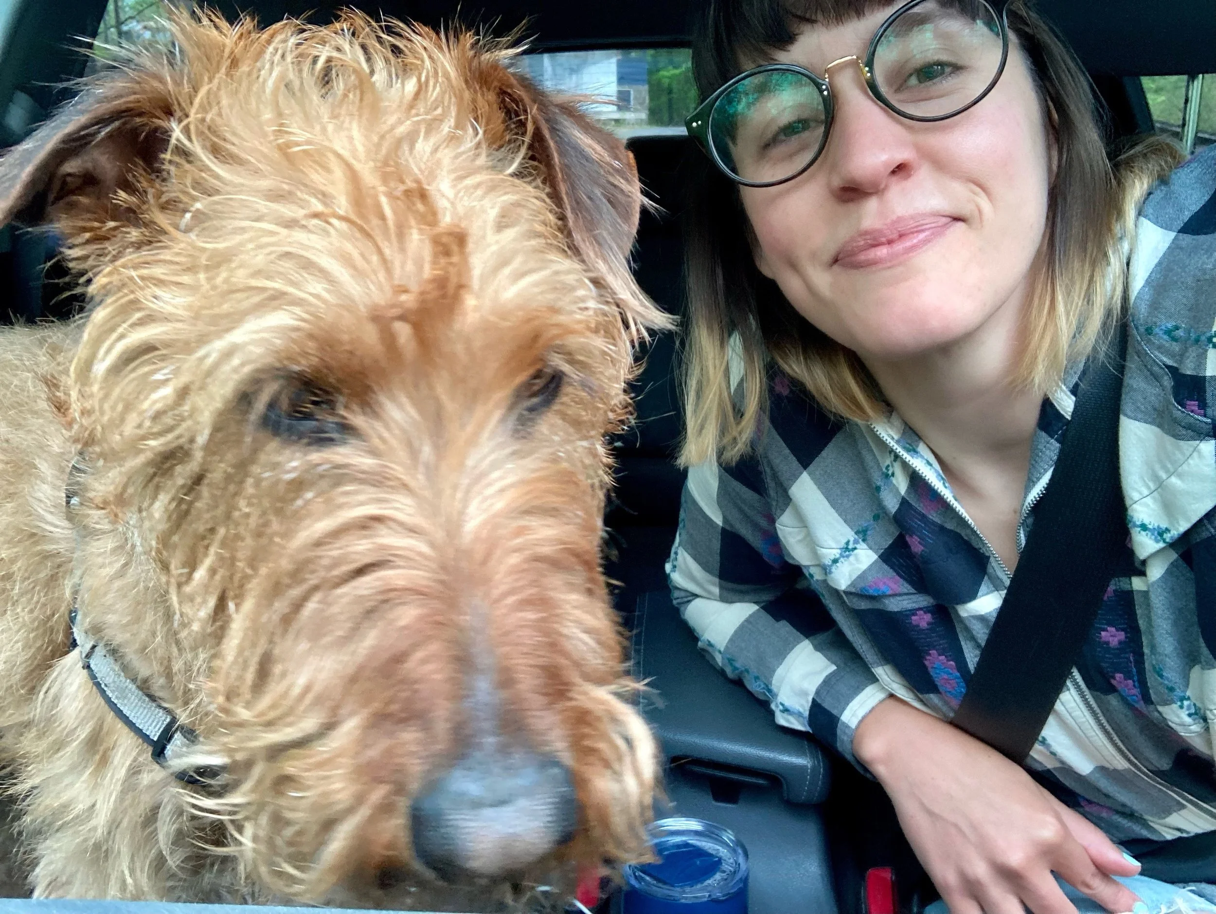 Canine Christmas — DeborahLappWords