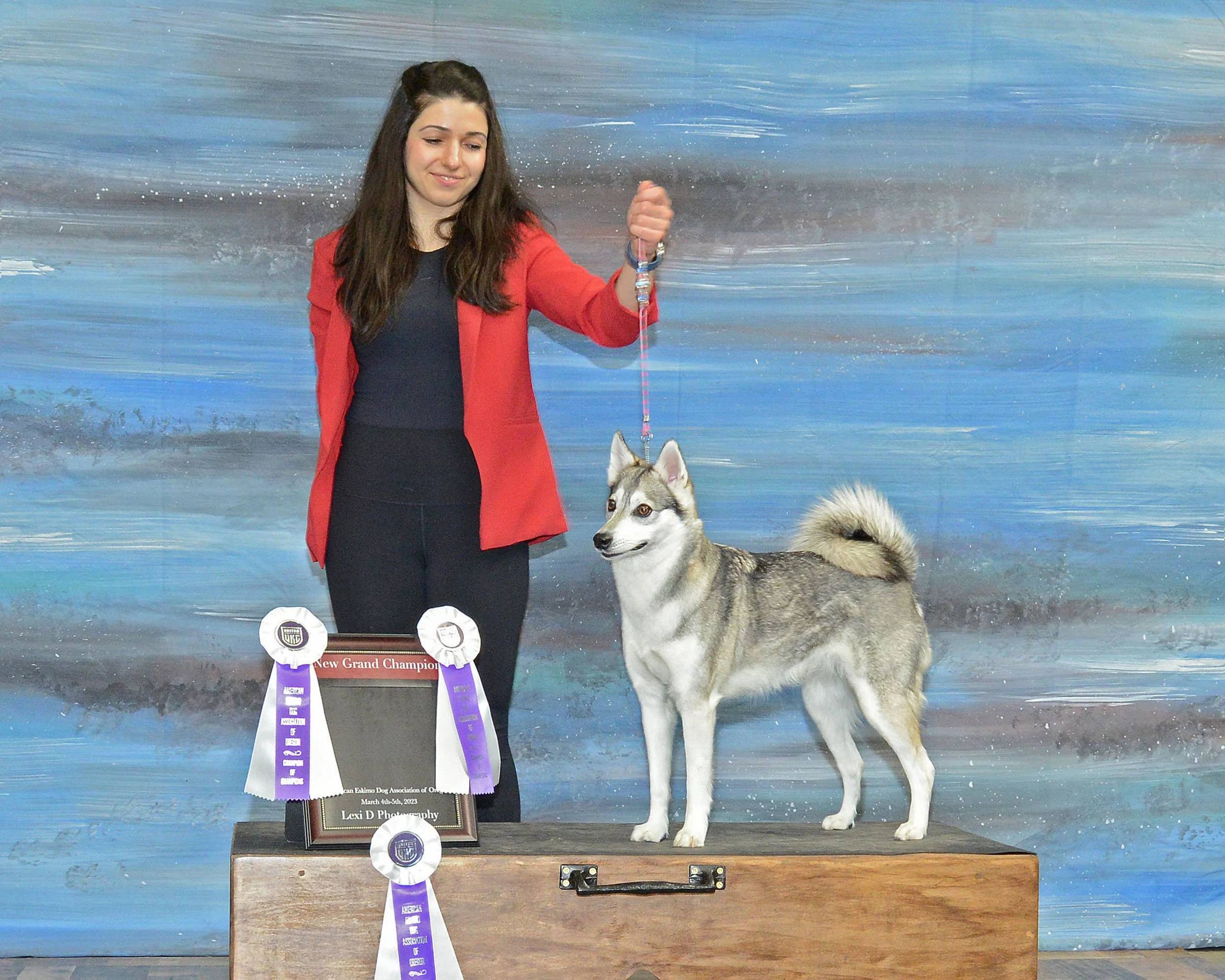 Kooper — Thurisia Alaska Klee Kai