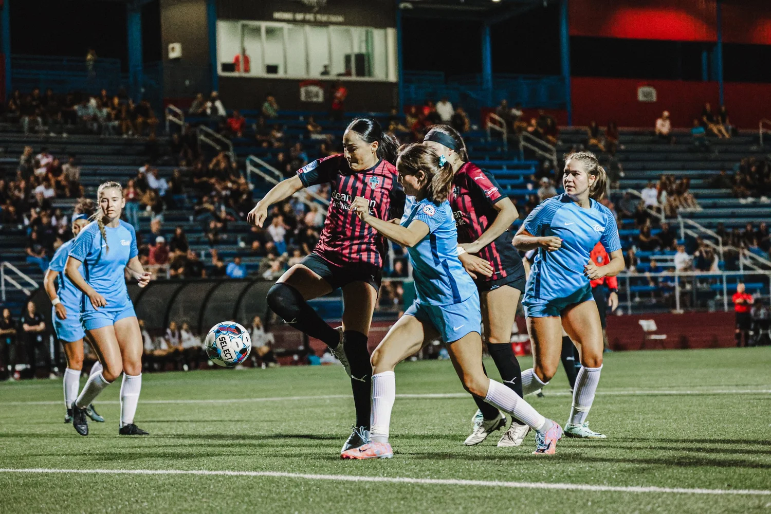 WPSL — Roseville Iron Rose FC