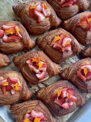 The Boro — The Dixboro Project