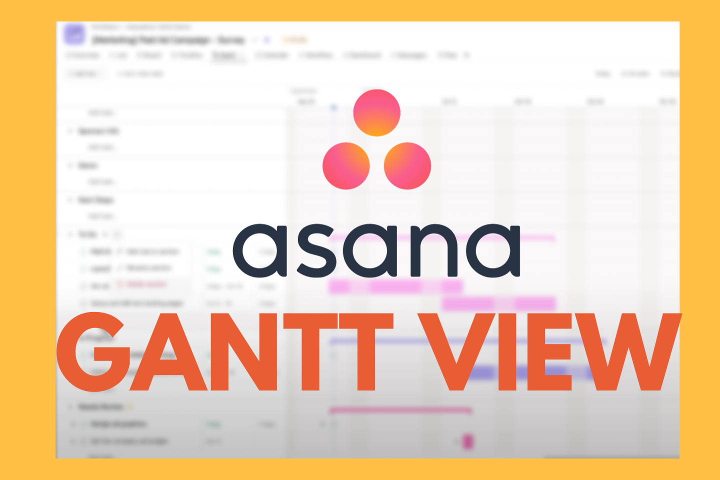 Asana's New Gantt View | Process Optimization Consultancy | Cirface