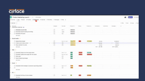 How to Track Your Project Budgets in Asana: A Guide | Cirface