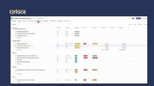 How to Track Your Project Budgets in Asana: A Guide | Cirface