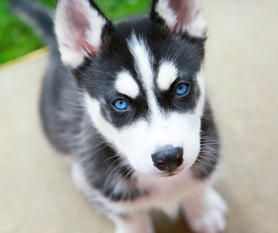 Know Your Audience: Crafting a Brand Message That Resonates | The Power ...