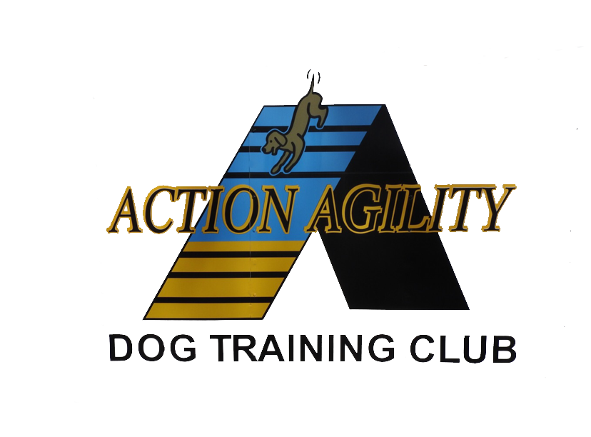 sample intro course maps — ACTION AGILITY