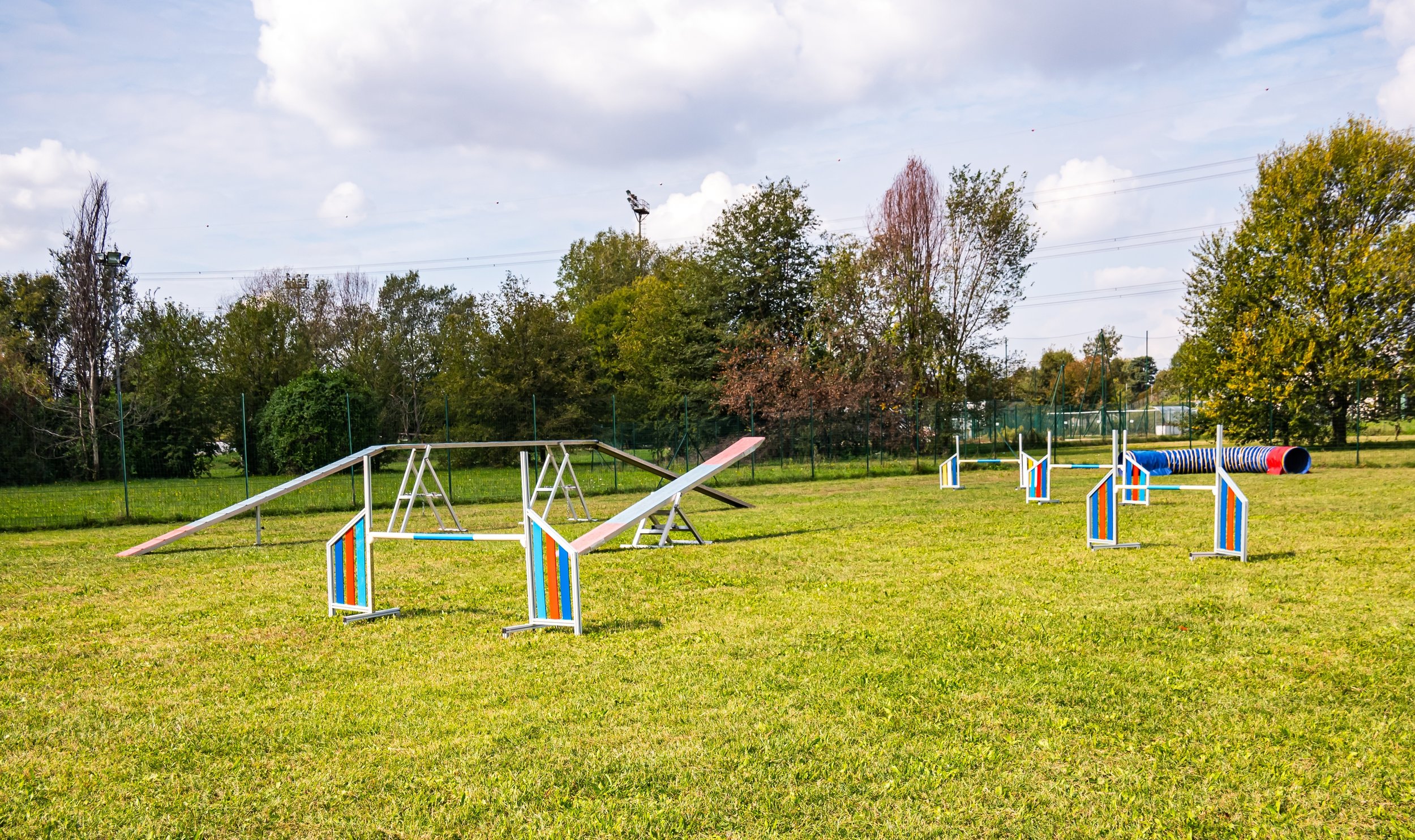 ACTION AGILITY