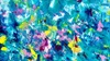 Joy Surrounds — Ann Marie Grace
