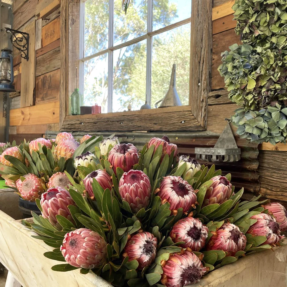 Bloomin Natives | Nagambie Florist | Flower Farm Victoria