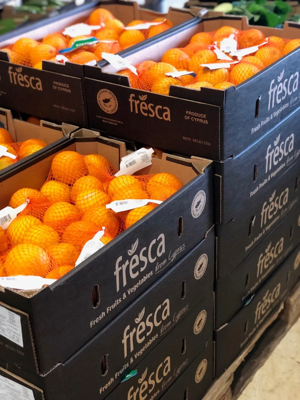 About Us — Fresca exports cyprus