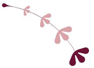 About Us — Helaina