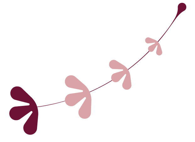 About Us — Helaina