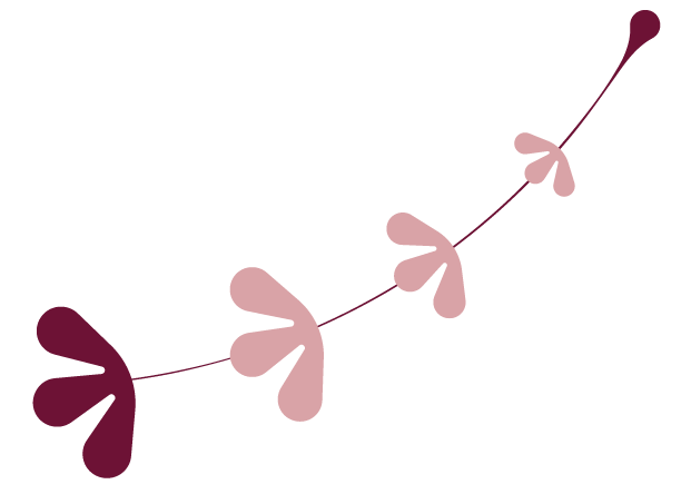 About Us — Helaina