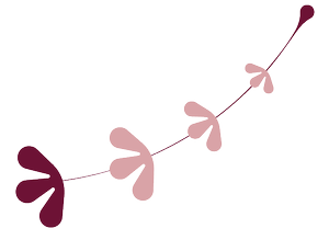 About Us — Helaina