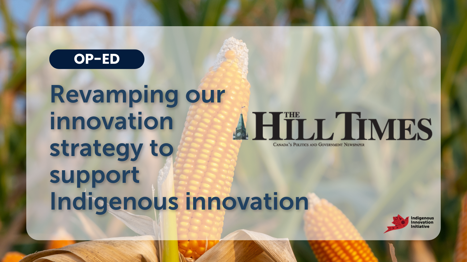 Revamping our innovation strategy to support Indigenous innovation ...