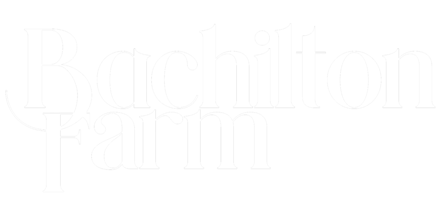 Bachilton Farm Holidays | Discover & Book Your Getaway