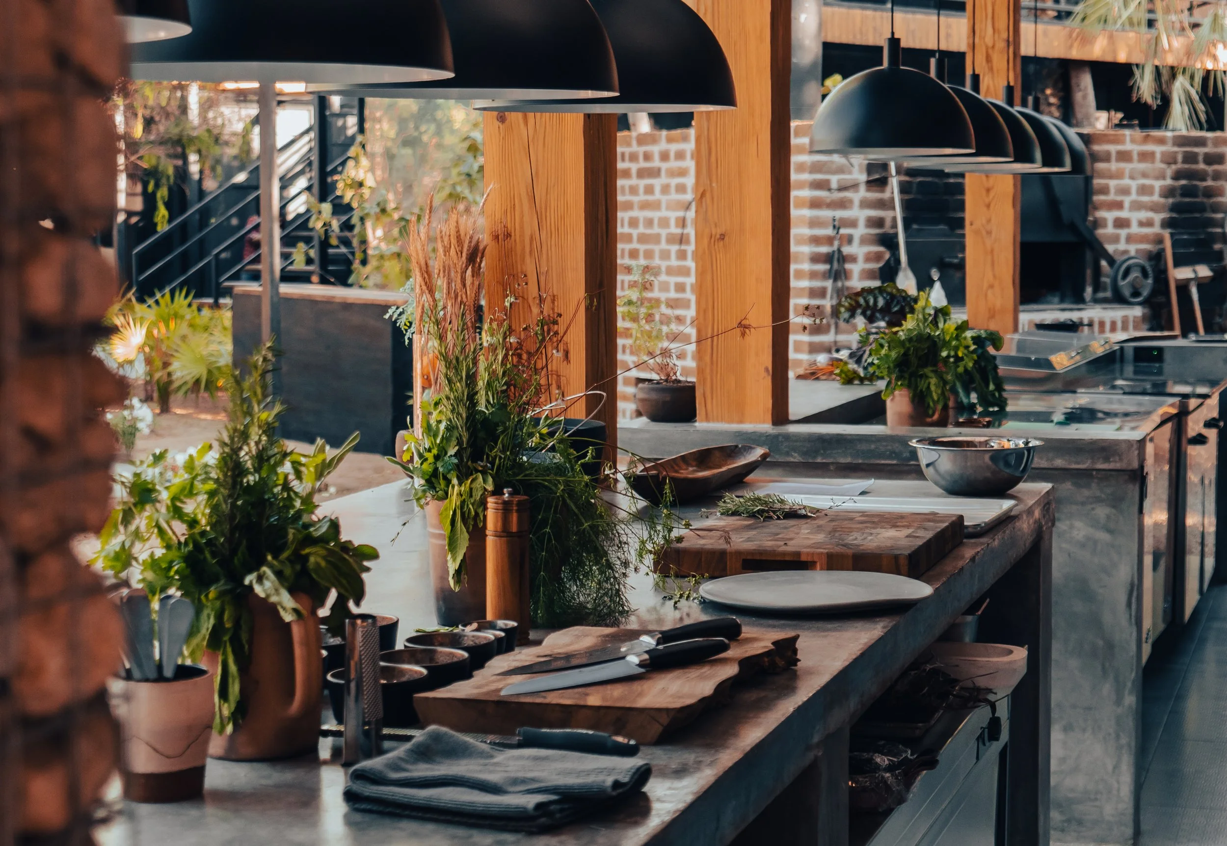Suelo Sur | San José del Cabo's Premier Dining and Entertainment ...