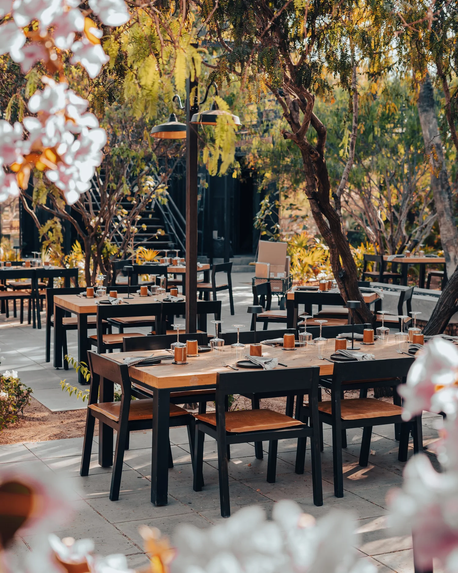 Límo Heritage Kitchen | Open-air Dining in San José del Cabo — SUELO ...