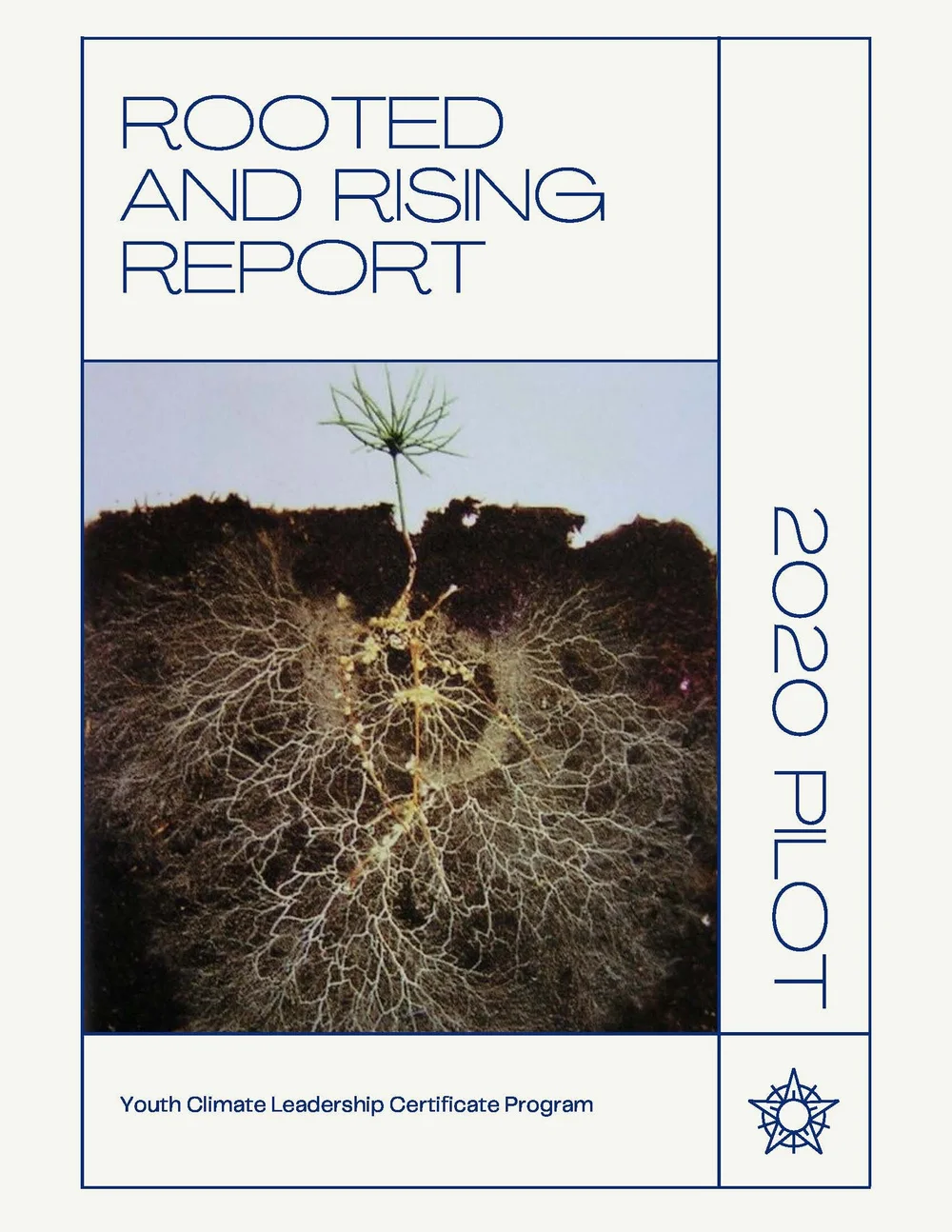 Rooted & Rising — Young Lives Research Lab