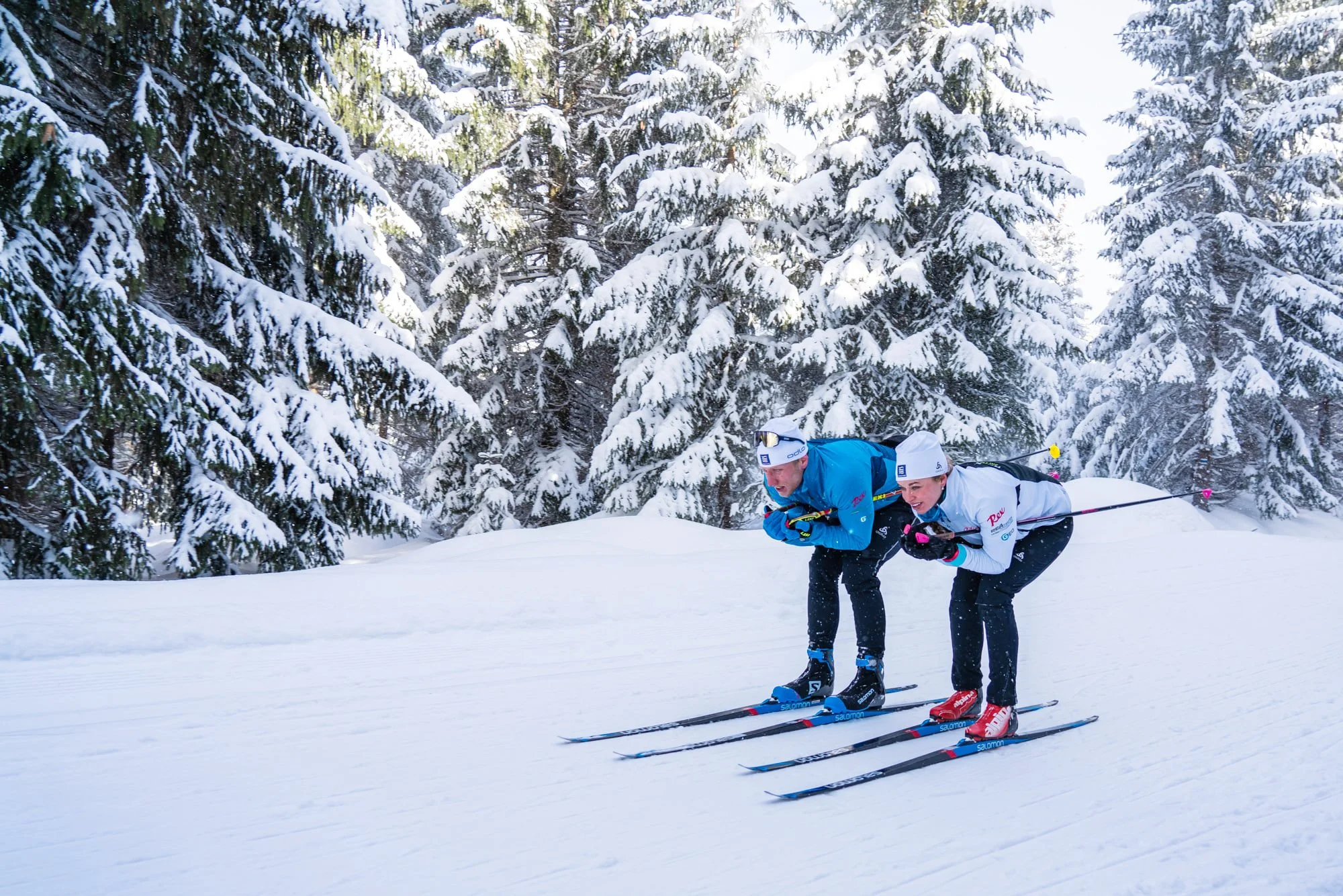 Rex Wax - USA | Enhance Your Ski Performance - Shop Now