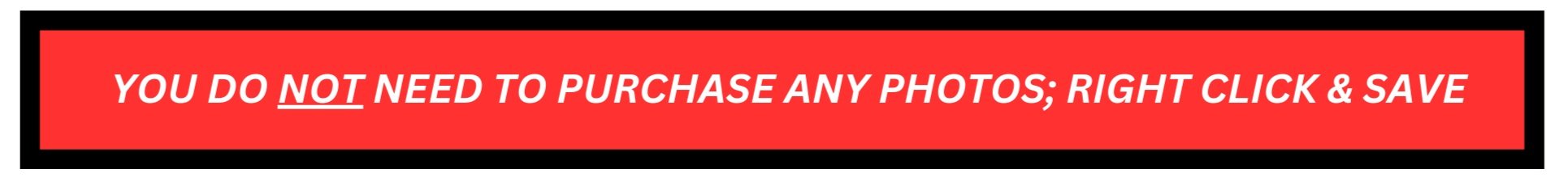 AHI Releases Red Carpet & Additional Photos of 50th Hellenic Heritage ...