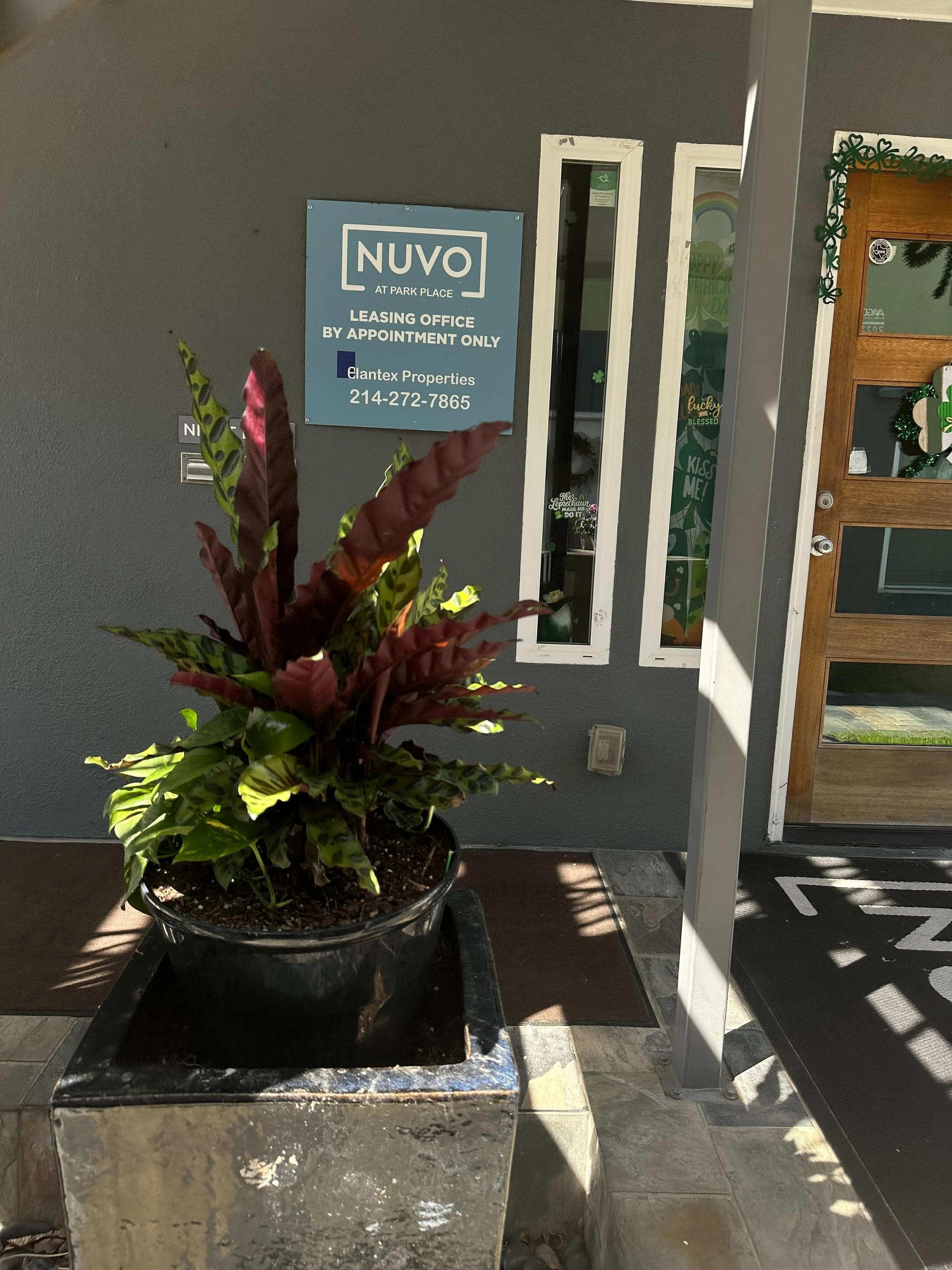 Nuvo Park Place — Nuvo