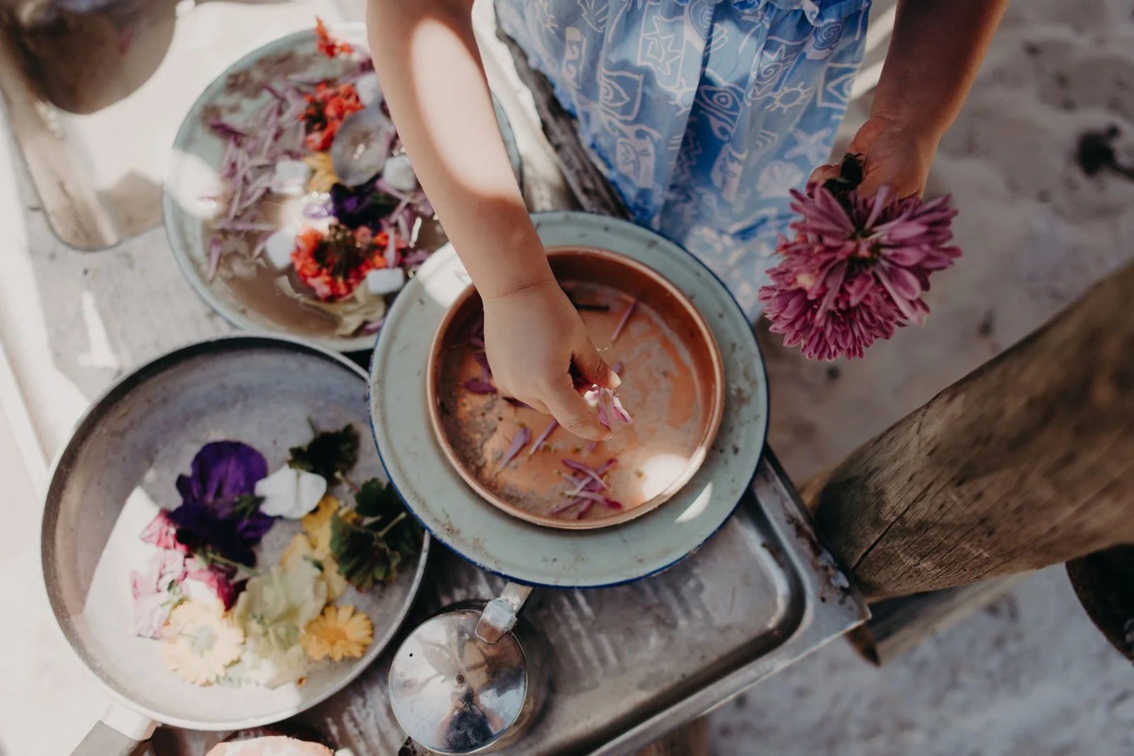 Dandelion Play Therapy