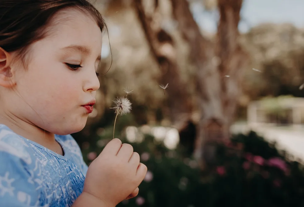 Dandelion Play Therapy