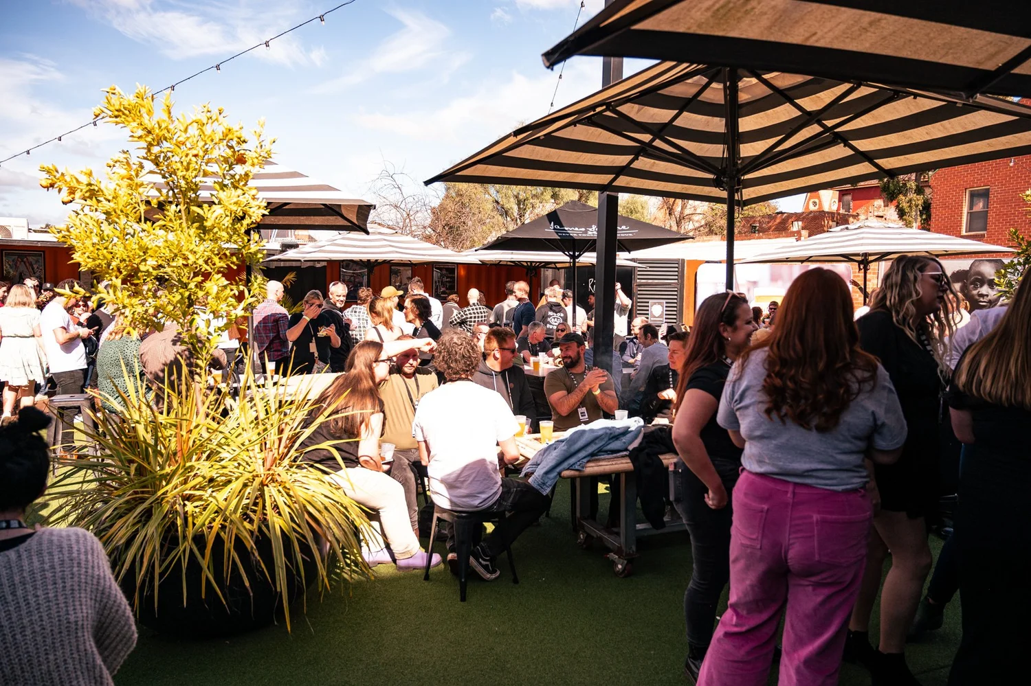 Pubs and Bars — Bendigo Beer