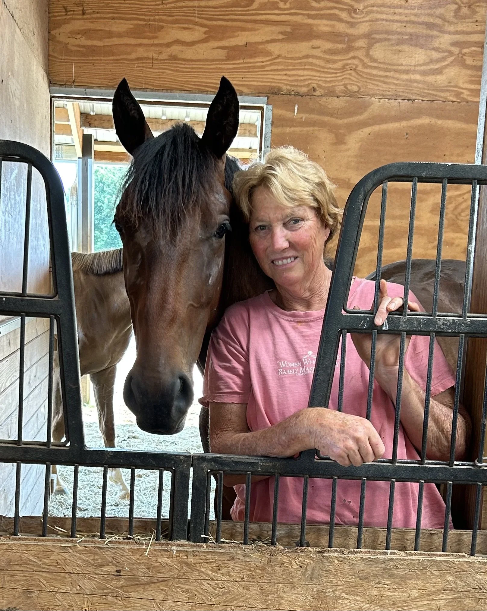 Rescuing Equines In Need