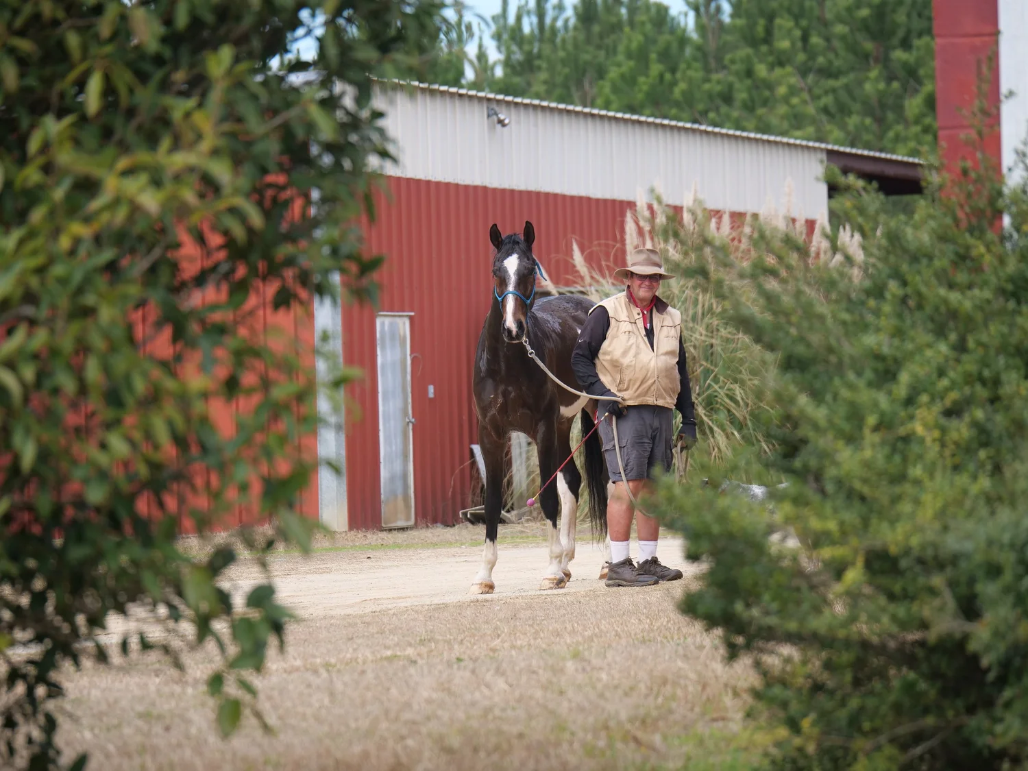 Bruce Anderson & Natural Humanship™ — Rescuing Equines In Need