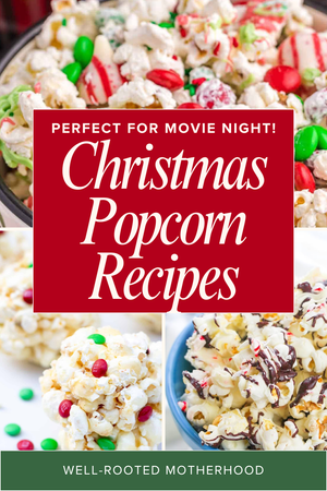 12 Festive Christmas Popcorn Recipes — Well-Rooted Motherhood