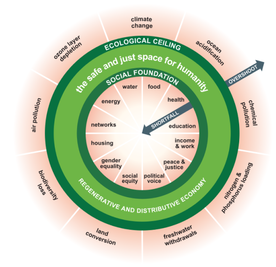 Doughnut education? From rigour to resilience — The Reach Foundation