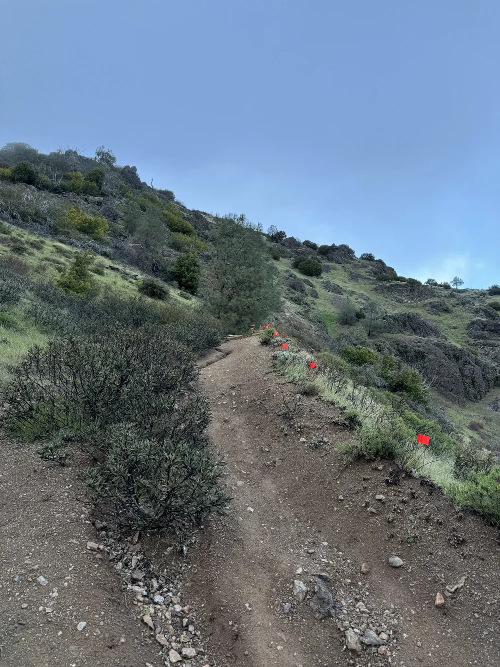 Photos — Mount Diablo Trails Alliance