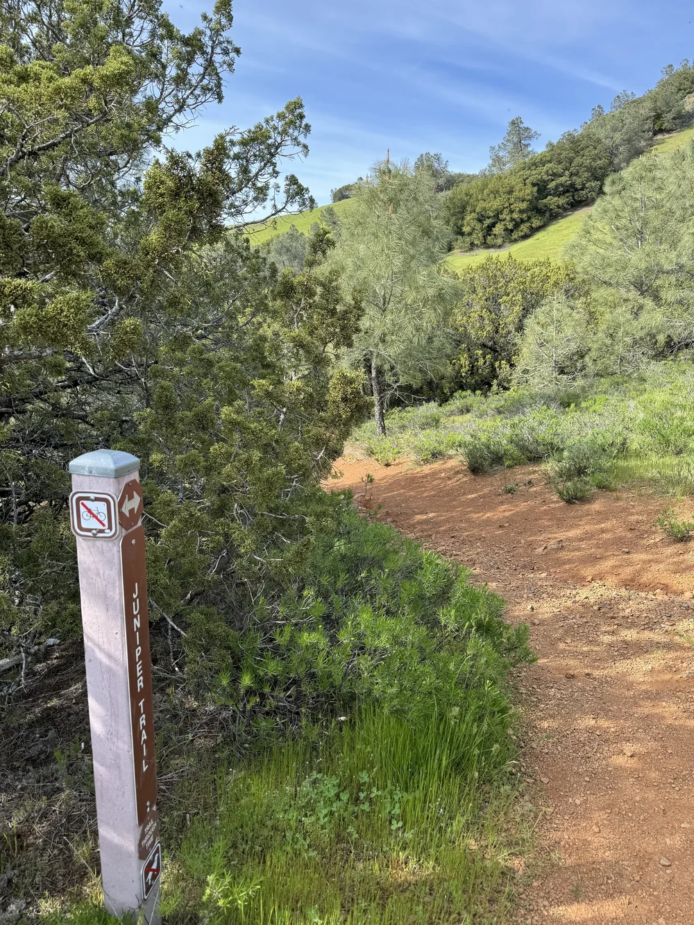 Photos — Mount Diablo Trails Alliance