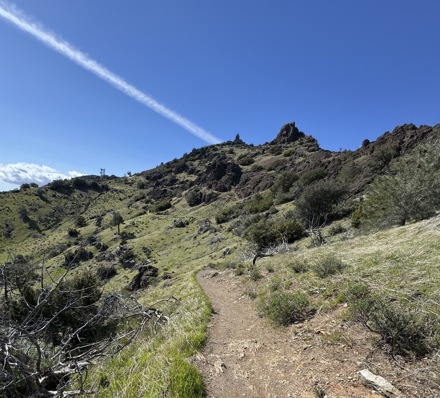Dig Days — Mount Diablo Trails Alliance