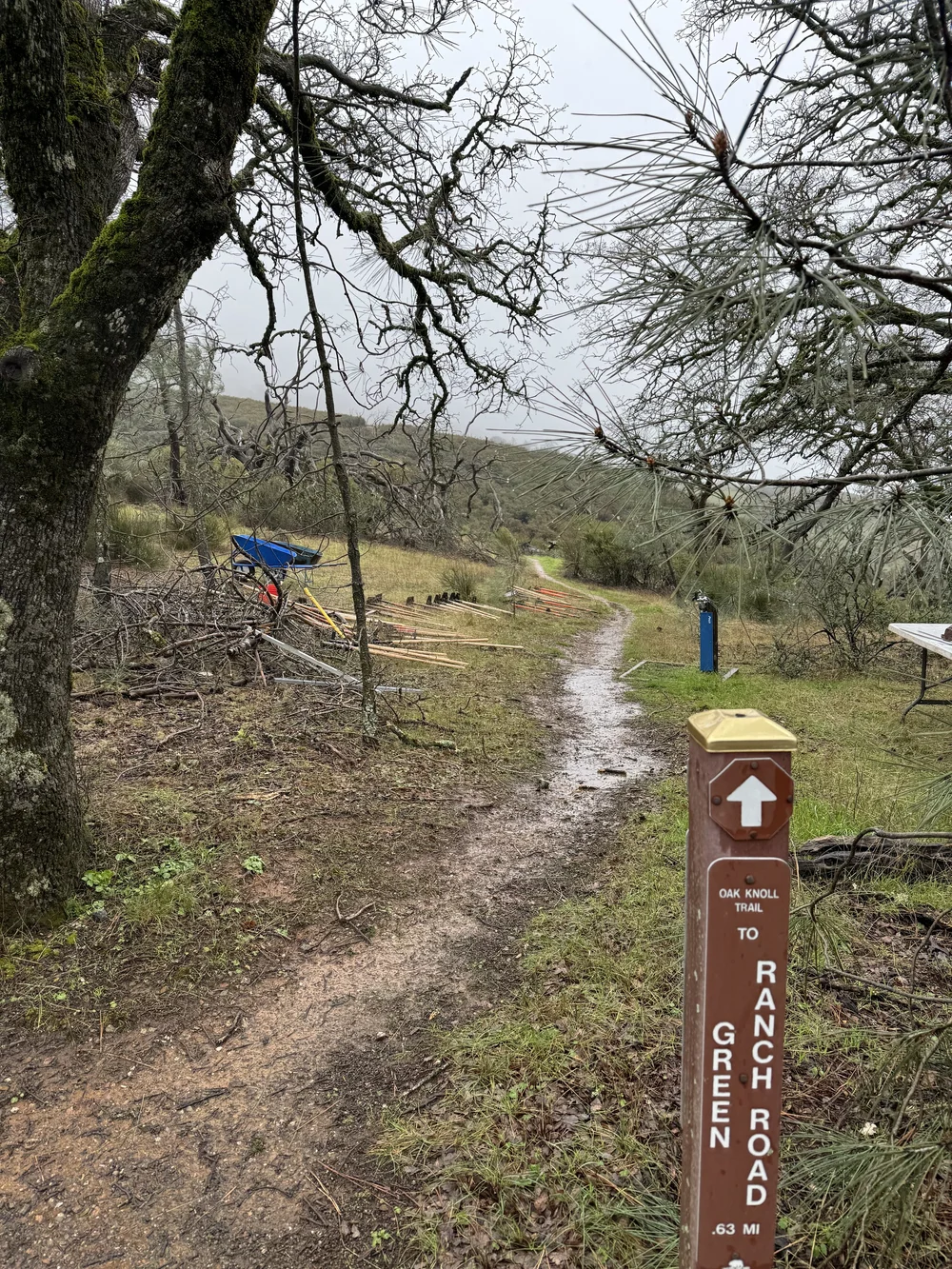 Photos — Mount Diablo Trails Alliance