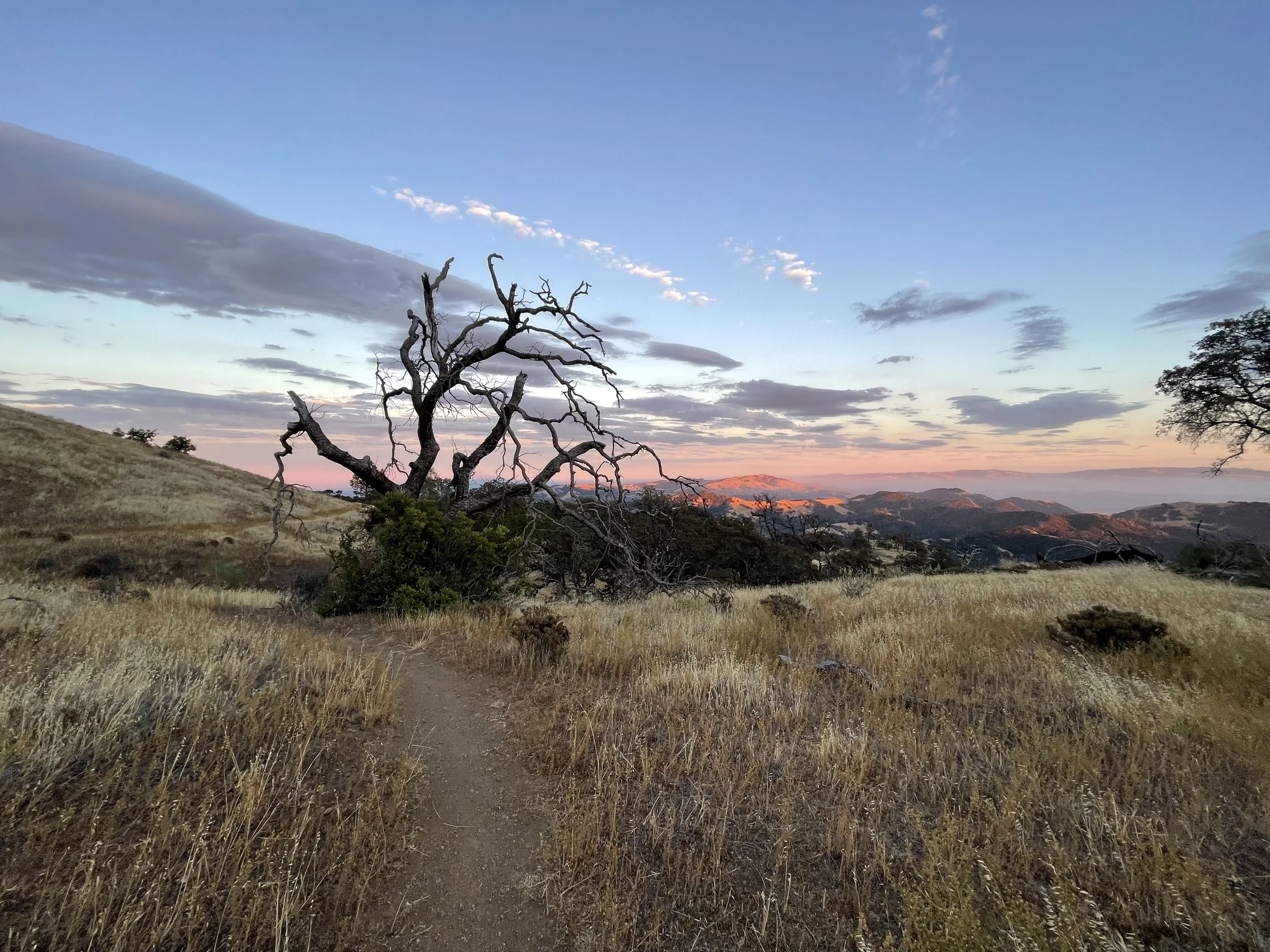 Report Trail Damage or Hazards — Mount Diablo Trails Alliance