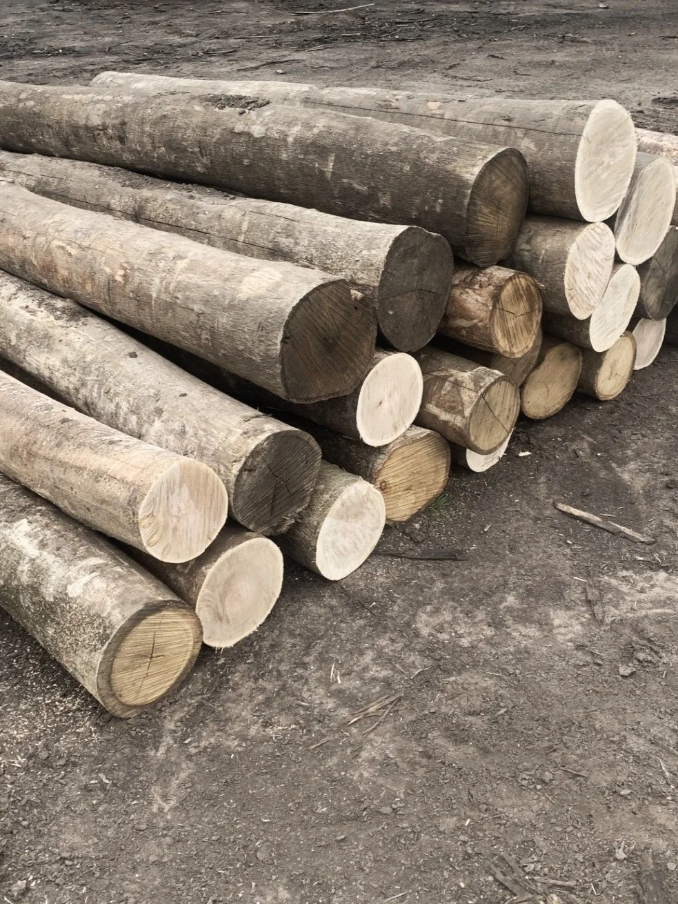 Gatty Firewood - Renewable Sugargum Firewood and Timber | Geelong ...