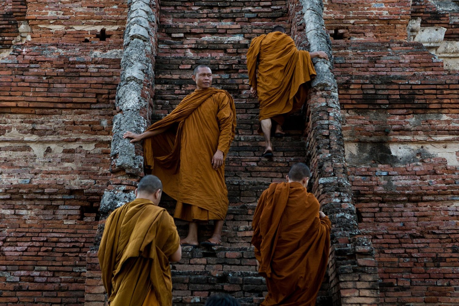 Portraits — AMANDA MUSTARD