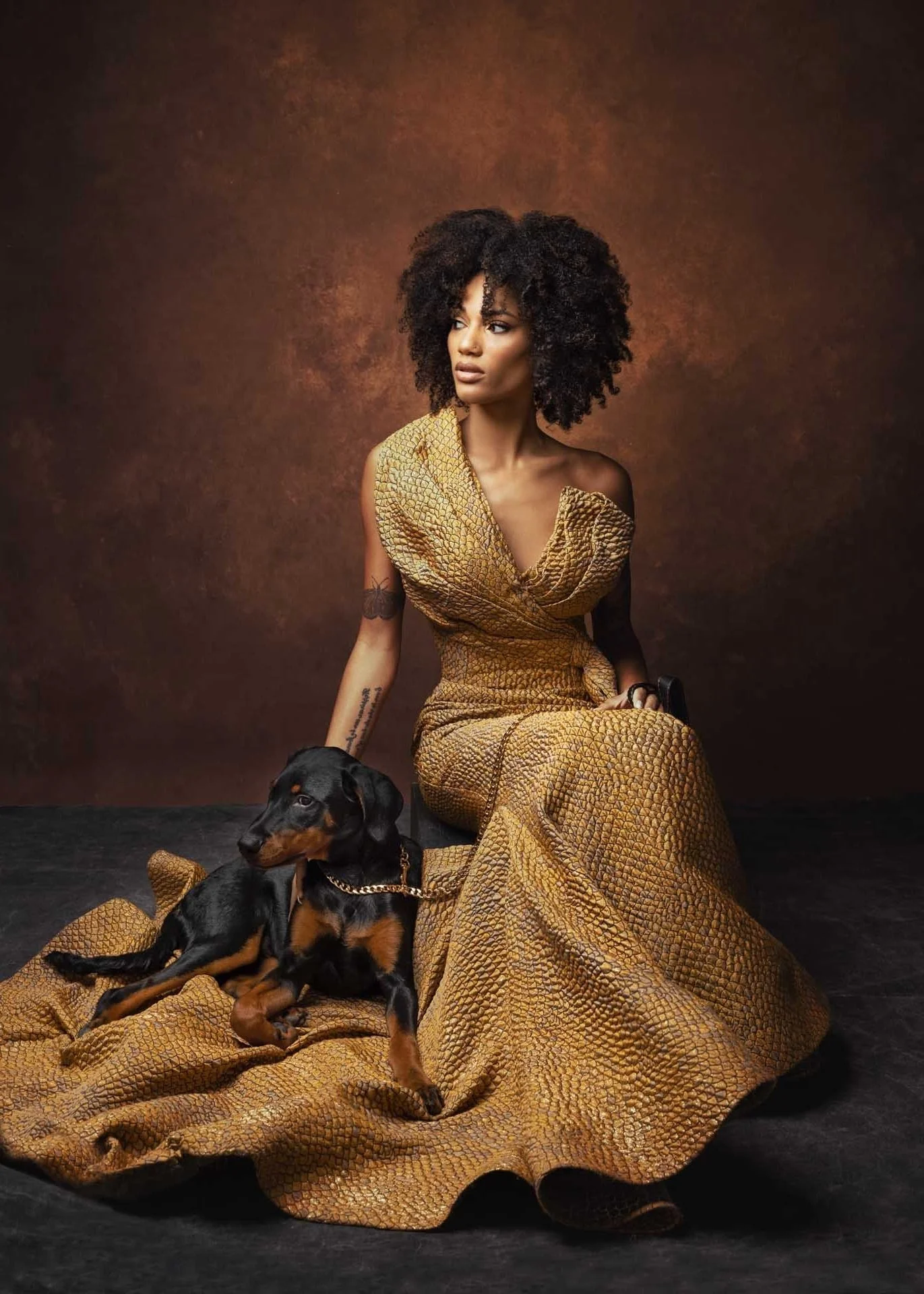 Couture Pets | Capture Pet Memories Today — Pittsburgh Luxury Portrait ...