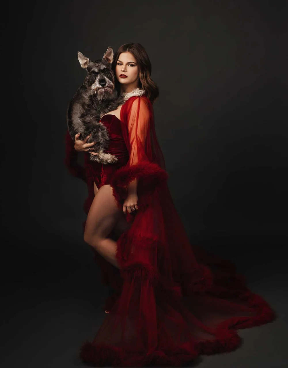 Couture Pets | Capture Pet Memories Today — Pittsburgh Luxury Portrait ...