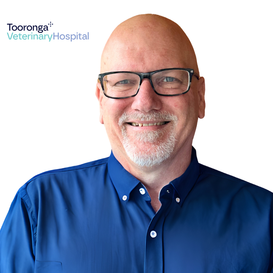 Vet Team — Tooronga Veterinary Hospital