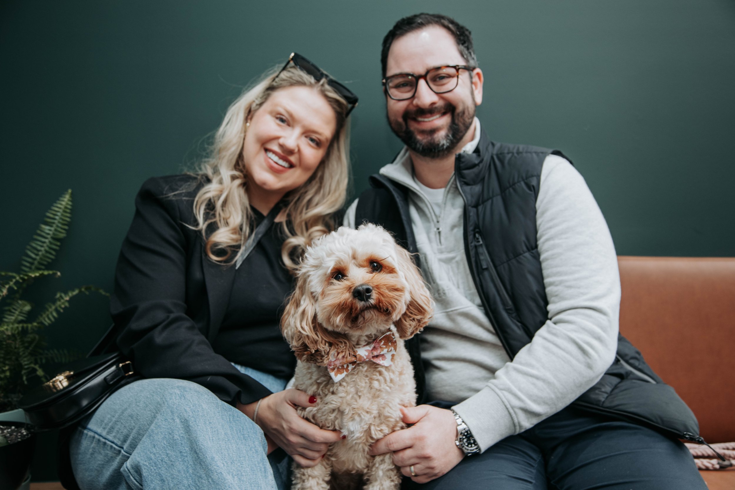 Cat & Dog Desexing in Melbourne | Tooronga Veterinary Hospital