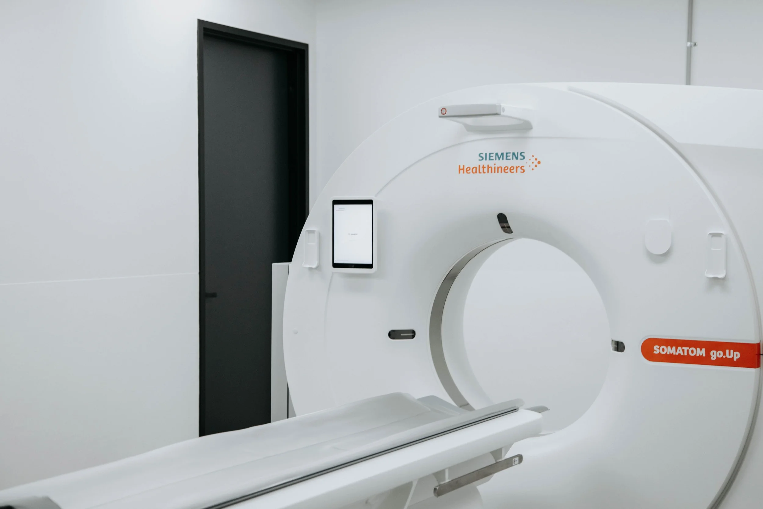 CT Scans For Pets In Melbourne | Tooronga Veterinary Hospital