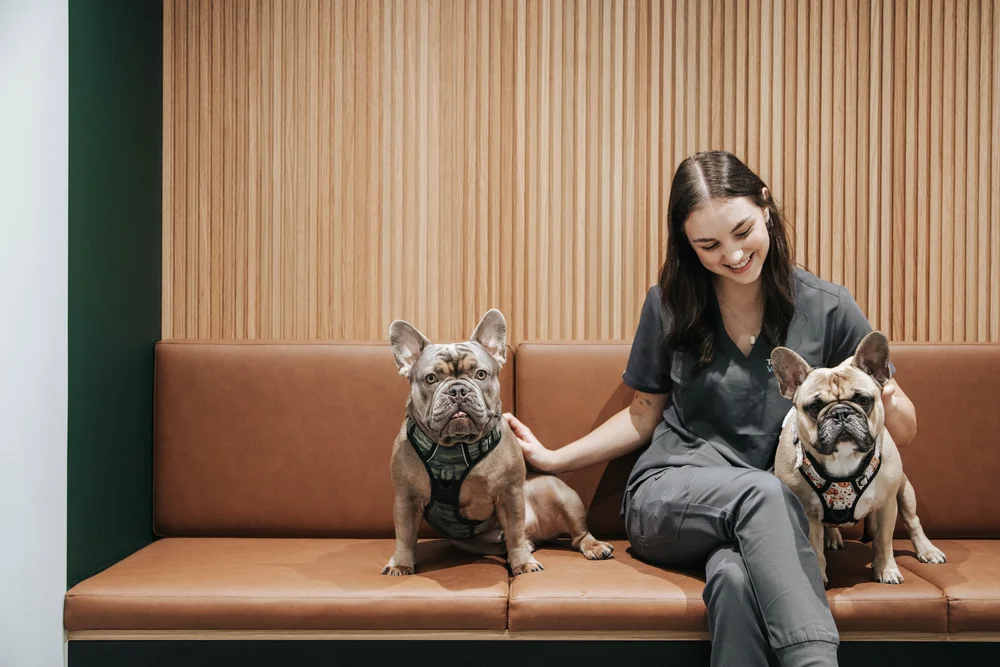 Tooronga Veterinary Hospital